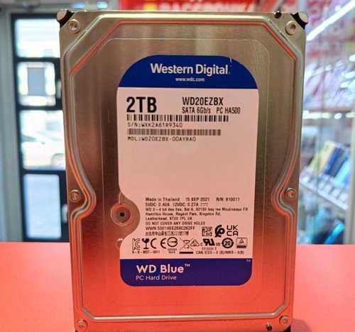 Жесткий диск - Western Digital WD20ezbx