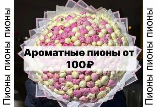 Пионы цветы букет