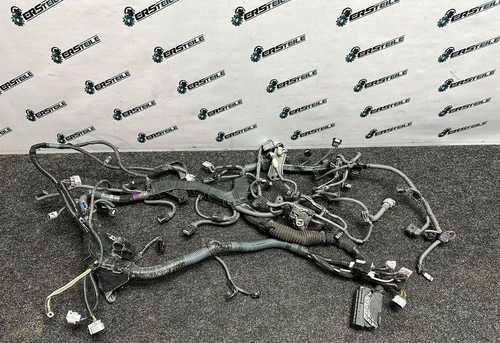 Проводка двигателя Lexus RX4 GYL25 2GR-FXS