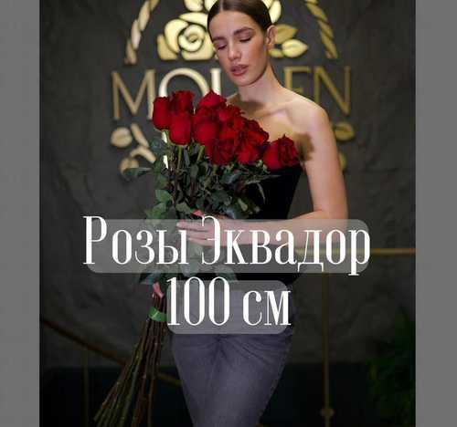 Красные розыЭквадор100 см