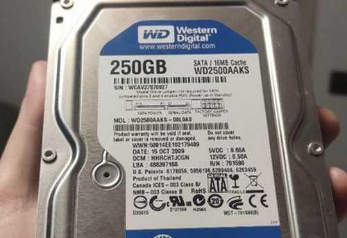Жесткий диск 250 GB WD Blue