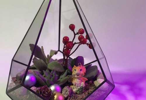 Флорариум Новогодний Дракон под деревом Ши