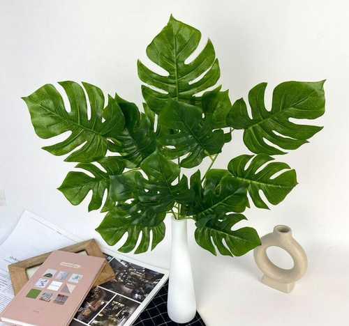 Монстера, листья на ветке, зеленая, ветка, 55 см