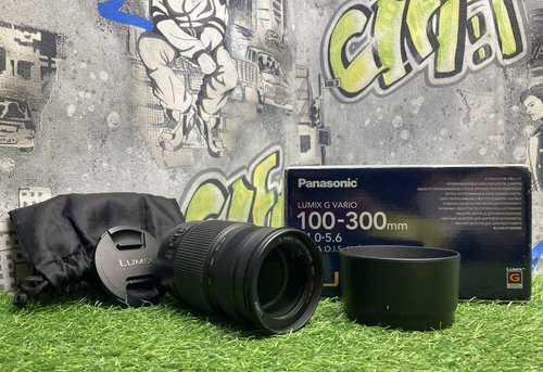 Panasonic Lumix G Vario 100-300 4.0-5.6 Mega O.I.S
