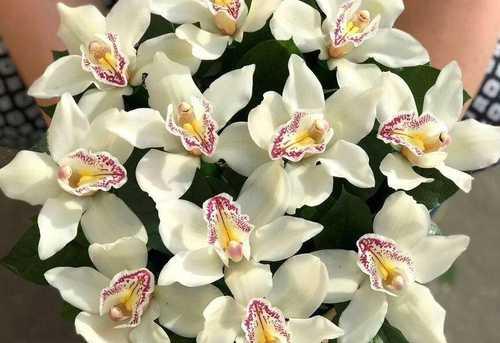 Букет из орхидей