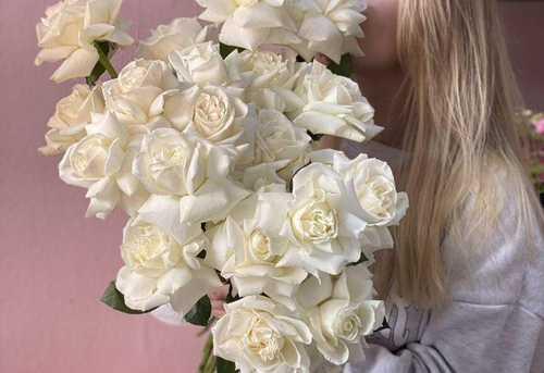 Белоснежные пионовидные розы
