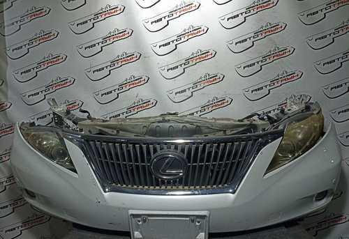 Nosecut lexus RX270 RX350 RX450H AGL10 GGL10 GGL15