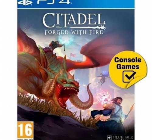 Игра PS4 Citadel Forged with Fire