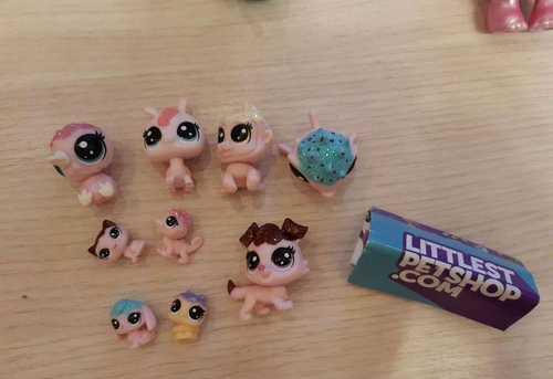 LPS, Hairdooz