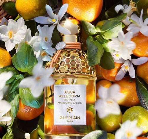 Guerlain aqua allegoria mandarine basilic масло 1м