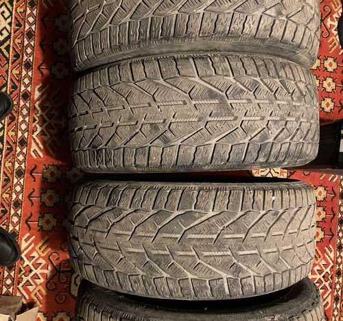 Tigar Winter 225/45 R17