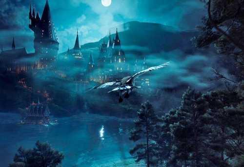 Hogwarts Legacy PS4 & PS5 на русском Волгодонск