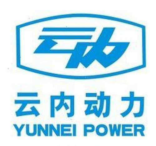 Форсунка топливная Yunnei YN48GBZ