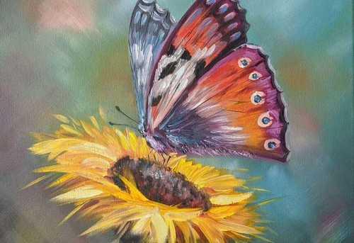 Картина маслом Бабочка на подсолнухе