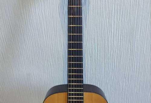 Классическая гитара Euphony gc-130