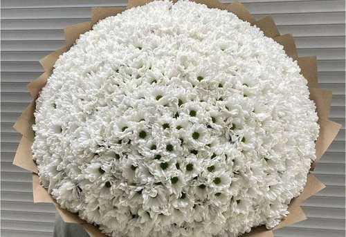 Букеты Цветы Хризантемы с доставкой