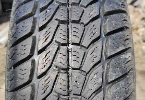 КАМА Кама-Nikola 195/65 R15 91H