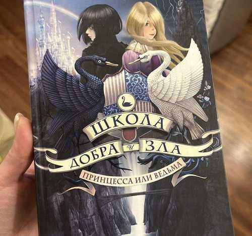 Книга школа добра и зла
