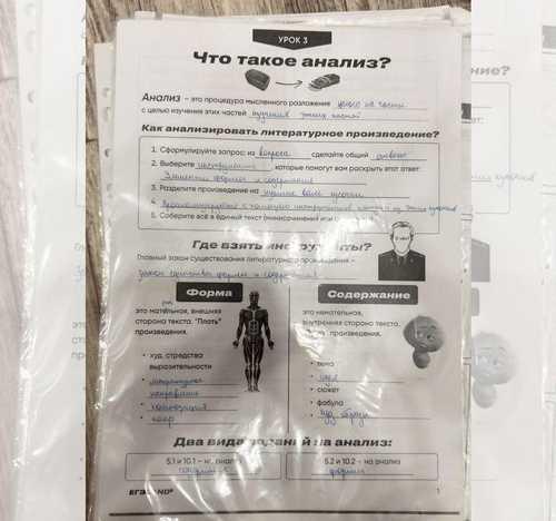 Скрипты ЕГЭ Литература