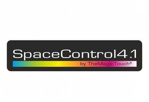 RIP Space Control оригинальная лицензия