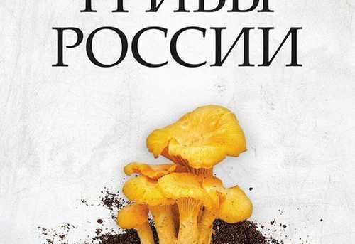 Вишневский М. Лекарственные грибы России