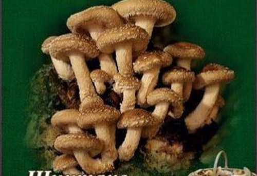 Китайские грибы Шиитаке