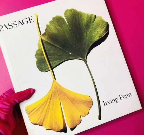 Ирвинг Пенн. Пассаж. Irving Penn. Passage