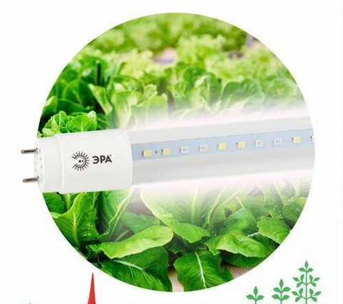 Фитолампа для растений светодиодная fito-9W-Ra90