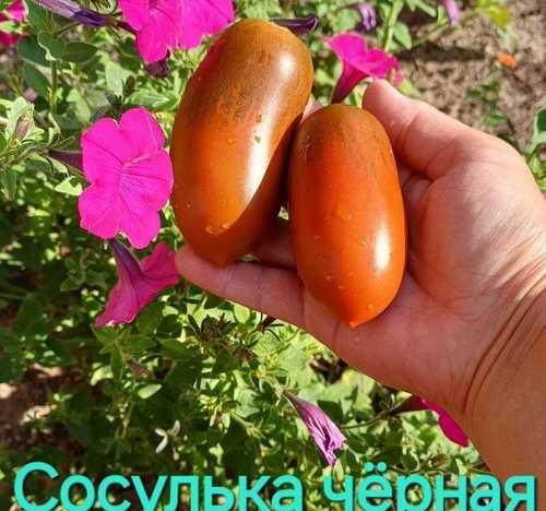 Томаты сортовые