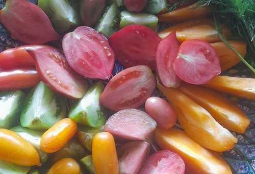 Семена томатов коллекционных