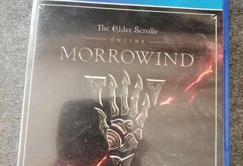 The elder scrolls online