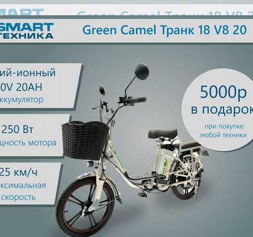 Электровелосипед Green Camel Транк 18 V8 20