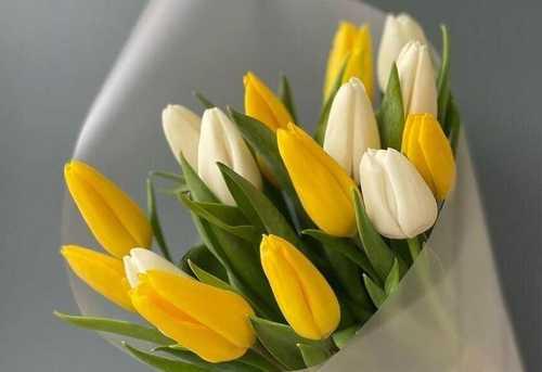 Букет из 15 белых и желтых тюльпанов