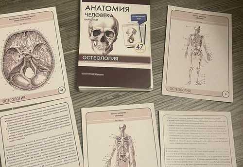 Карточки по анатомии человека -остеология
