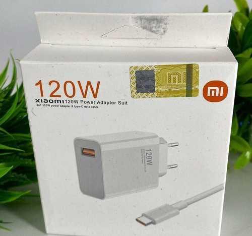 Зарядное устройство Xiaomi 120w