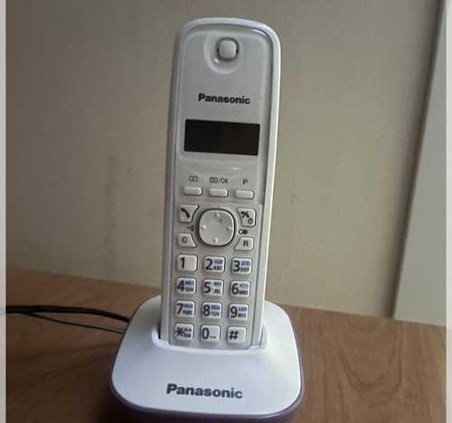 Panasonic