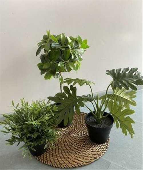 Искусственные растения IKEA