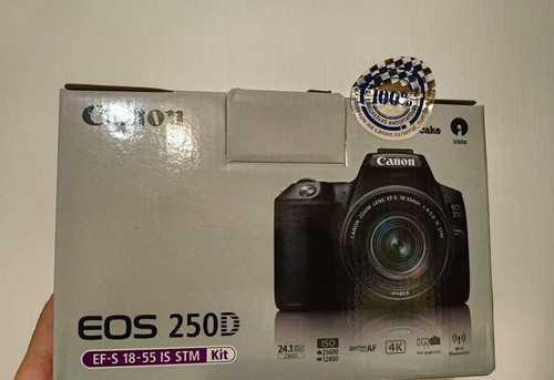 Canon 250D Kit 2500 кадров