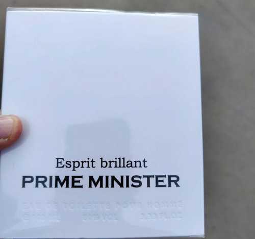 Esprit brilliant prime minister новые