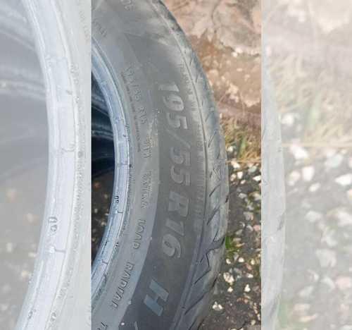 Matador MP 47 Hectorra 3 195/55 R16 91H