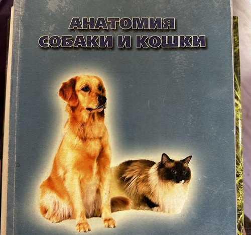 Анатомия собаки и кошки