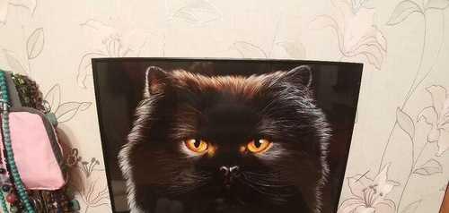 Картина черный кот