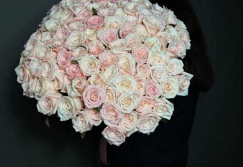 Белые розы. Кремовые розы