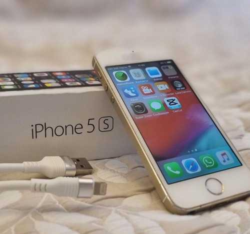 iPhone 5S, 16 ГБ