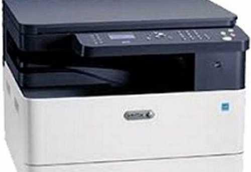 Xerox B1025DN (B1025V B) A3 Duplex Net белый/синий