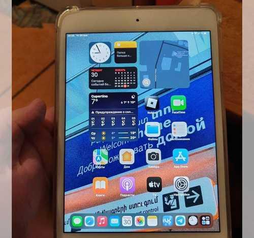 iPad mini 4 128gb