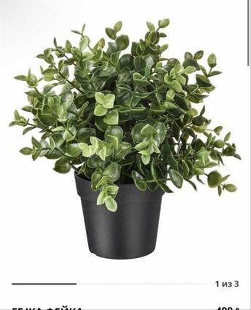 Искусственное растение в горшке IKEA Fejka