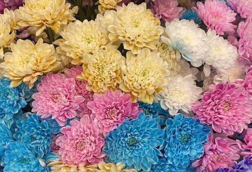 Цветы Хризантема Букет цветов с доставкой