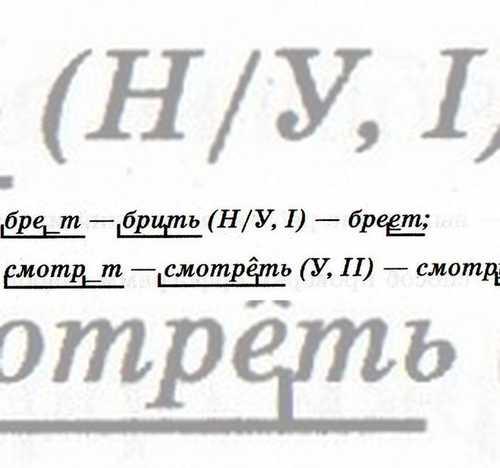 Репетитор по русскому языку, ОГЭ, система Эльконин