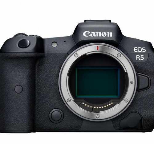 Фотоаппарат Canon EOS R5 Body Black